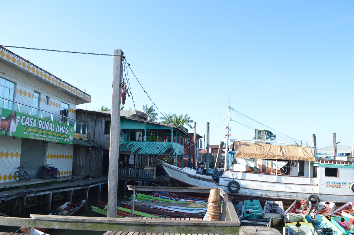 Publications – Matt Abel